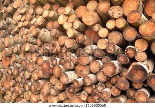 Stack Wood Paper Materials Stock Photo 1606803550 | Shutterstock