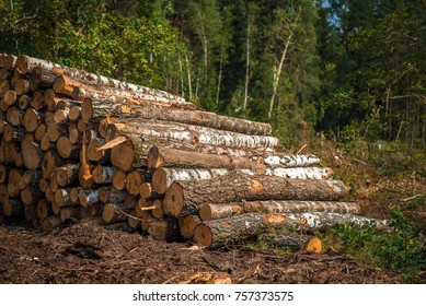 Stack Wood Timber Stock Photo 757373575 | Shutterstock