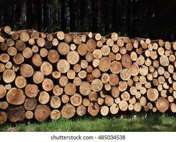 Stacked Battered Tree Trunks Stock Photo 485034538 | Shutterstock
