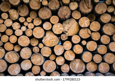 Stacked Logs Wall Texture Using Background Stock Photo 1799280115 ...