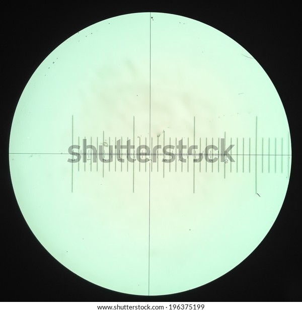 Stage Micrometer Stock Photo (Edit Now) 196375199