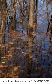156 Staggered branches Images, Stock Photos & Vectors | Shutterstock