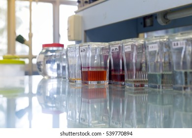 Staining Jar Tissue Samples On Gray Stock Photo 539770894 | Shutterstock