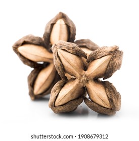 499 Inca star beans Images, Stock Photos & Vectors | Shutterstock