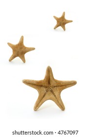 Starfish Different Angles Isolated On White Stock Photo 387063991 ...
