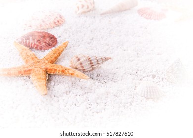Starfish Shells Background Stock Photo 517827610 | Shutterstock