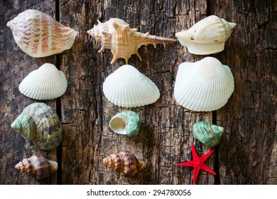 87 Scallop column Images, Stock Photos & Vectors | Shutterstock