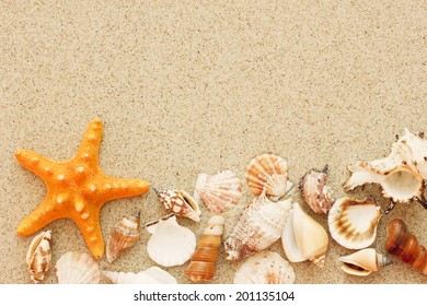 Starfish Shellssummer Background Stock Photo 201135104 | Shutterstock