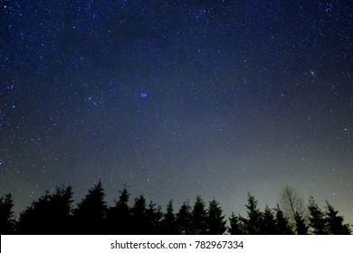 Starry Forest Background Stock Photo 782967334 | Shutterstock
