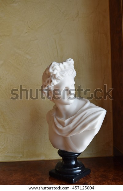Statue Bust Man Stock Photo 457125004 | Shutterstock
