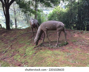 15,903 2 deer Stock Photos, Images & Photography | Shutterstock