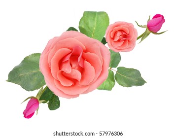 Stem Roses Background Stock Photo 57976306 | Shutterstock