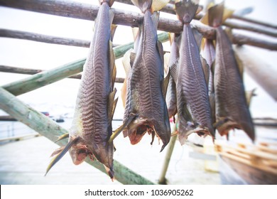 Torrfisk Images, Stock Photos & Vectors | Shutterstock