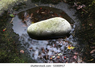 16,293 Puddle on rock Images, Stock Photos & Vectors | Shutterstock