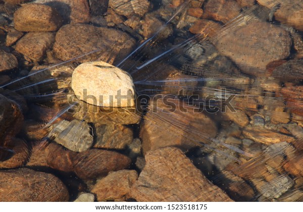 Stone Embedded Ice Ice Structure Background Stock Photo 1523518175 ...