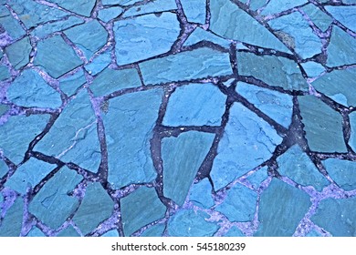 Cells Under Microscope Stock Photo (Edit Now) 525477313