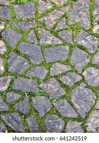 Stone Grass Texture Stock Photo 641242519 | Shutterstock