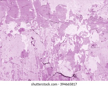 Clam Gill Under Microscope Background Stock Photo 116445412 | Shutterstock