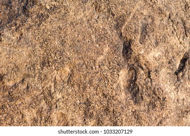 Detail Migmatite Metamorphed Rock Texture Stock Photo 247506571 ...