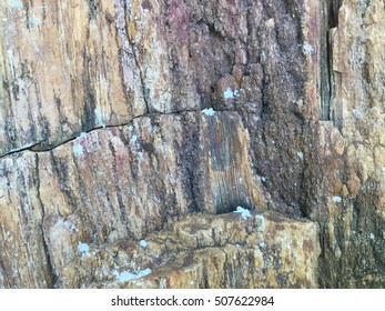 Close Dolomite Rocks Dolostone Sedimentary Rocks Stock Photo 1289089120 ...