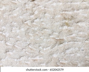 Capiz Shell Wall Design Stock Photo (Edit Now) 1334502359