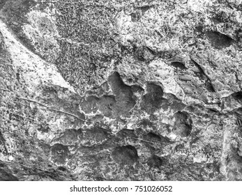 Hey Texture Background Photos Taken By Stock Photo 744439678 | Shutterstock
