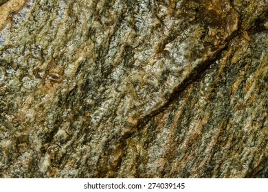 141 Sediment build up Images, Stock Photos & Vectors | Shutterstock