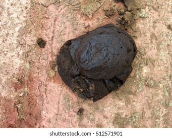 95 Buffalo stool Images, Stock Photos & Vectors | Shutterstock