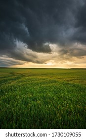435,230 Dark fields Images, Stock Photos & Vectors | Shutterstock