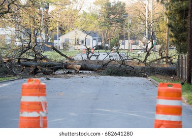 Storm Damage Tree Down Blocking Road Stock Photo 682641280 | Shutterstock
