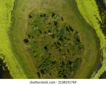 50,015 Down land Images, Stock Photos & Vectors | Shutterstock