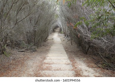 295 Steps Down Through Trees Images, Stock Photos & Vectors | Shutterstock