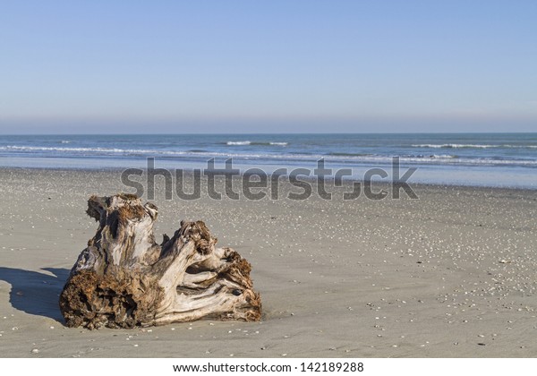 14 Strand Po Images, Stock Photos & Vectors | Shutterstock