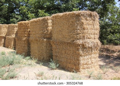 Straw Stock Photo 305324768 | Shutterstock