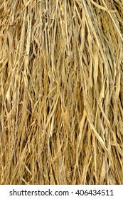 Straw Stock Photo 406434511 | Shutterstock