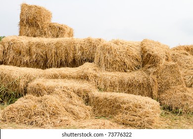 Straw Stock Photo 73776322 | Shutterstock