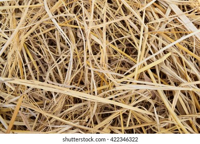 Full Background Detail Straw On Floor Stock Photo 1487428319 | Shutterstock