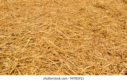 45,510 Straw ground Images, Stock Photos & Vectors | Shutterstock