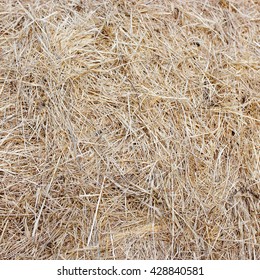 Straw Bale Texture Stock Photo 428840581 | Shutterstock