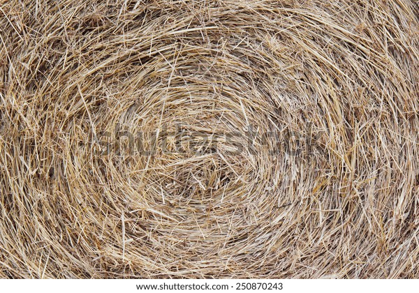 Straw Bale Texture Stock Photo 250870243 | Shutterstock