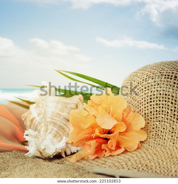 Straw Hat Seashell On Sandy Beach Stock Photo 225102853 | Shutterstock
