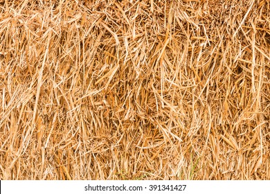 Straw Texture Stock Photo 391341427 | Shutterstock