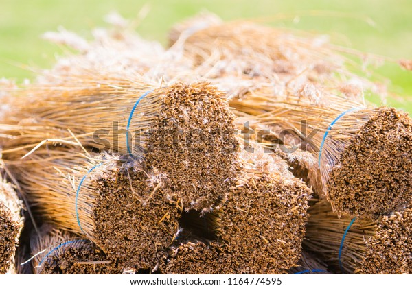 Straw Thatch Close Background Typical Dutch Stock Photo (Edit Now ...