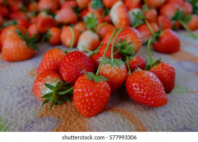 15 Mini Strwberry Images, Stock Photos & Vectors | Shutterstock