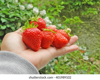 Stock Photo and Image Portfolio by H Jerry Humphries | Shutterstock