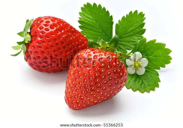 Strawberry Stock Photo (Edit Now) 51366253