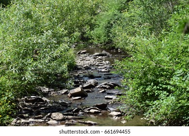 Stream Background Green Stock Photo 661694455 | Shutterstock