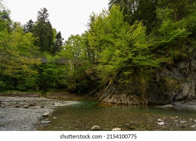 24,486 Stream bed Images, Stock Photos & Vectors | Shutterstock