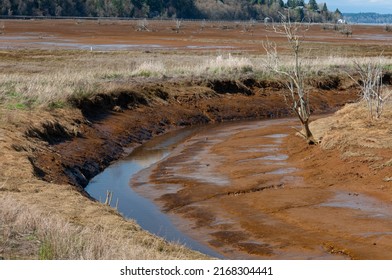 Stream Bend Grass Mud Billy Frank Stock Photo 2168304441 | Shutterstock