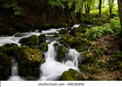 Stream Forest Stock Photo 448183696 | Shutterstock